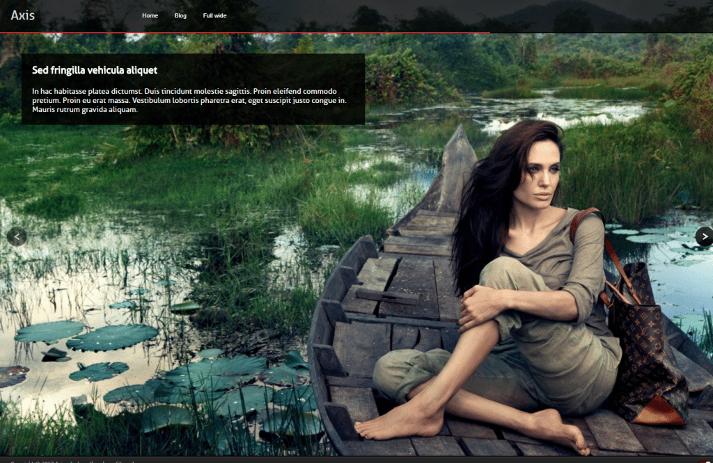 Axis WordPress Theme Download & Review 2024