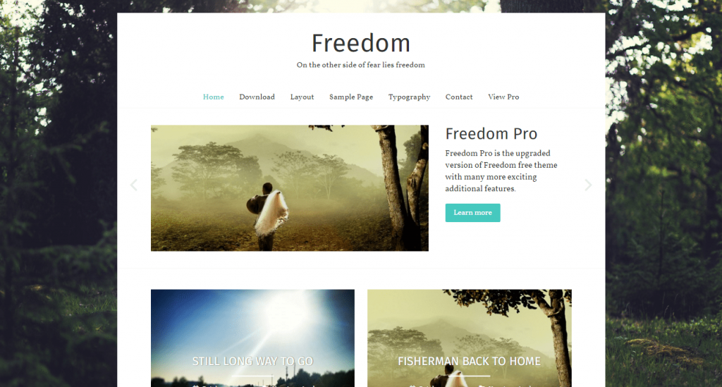 Freedom WordPress Theme Download & Review 2025
